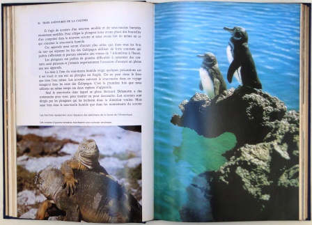Trois Aventures de La Calypso - Biodiversidade Books