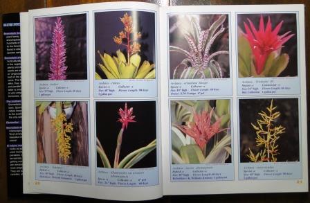 The Book of Bromeliads and Hawaiian Tropical Flowers - Biodiversidade Books