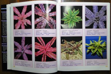 The Book of Bromeliads and Hawaiian Tropical Flowers - Biodiversidade Books
