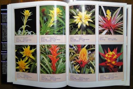 The Book of Bromeliads and Hawaiian Tropical Flowers - Biodiversidade Books