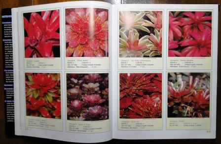 The Book of Bromeliads and Hawaiian Tropical Flowers - Biodiversidade Books
