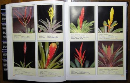 The Book of Bromeliads and Hawaiian Tropical Flowers - Biodiversidade Books