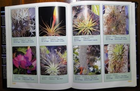 The Book of Bromeliads and Hawaiian Tropical Flowers - Biodiversidade Books