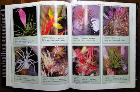 The Book of Bromeliads and Hawaiian Tropical Flowers - Biodiversidade Books