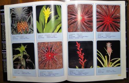 The Book of Bromeliads and Hawaiian Tropical Flowers - Biodiversidade Books