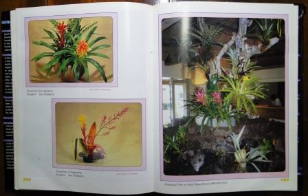 The Book of Bromeliads and Hawaiian Tropical Flowers - Biodiversidade Books