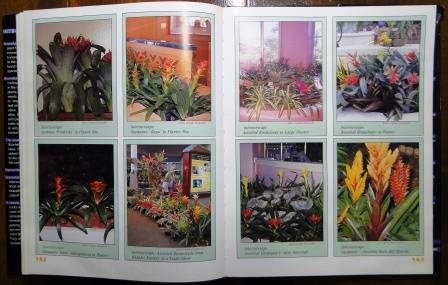 The Book of Bromeliads and Hawaiian Tropical Flowers - Biodiversidade Books