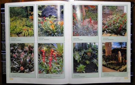 The Book of Bromeliads and Hawaiian Tropical Flowers - Biodiversidade Books