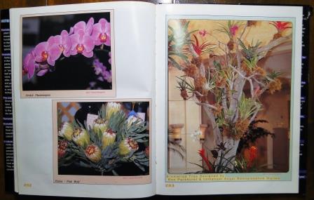 The Book of Bromeliads and Hawaiian Tropical Flowers - Biodiversidade Books